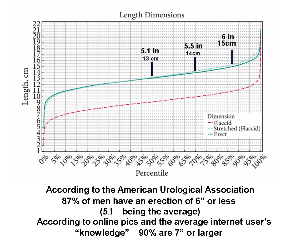 Small - Average - Large - small-X-change - MAIN FORUM - Measurection ...